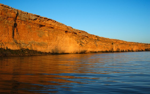 Carp Fishing in South Australia - Carp Fishing Blog